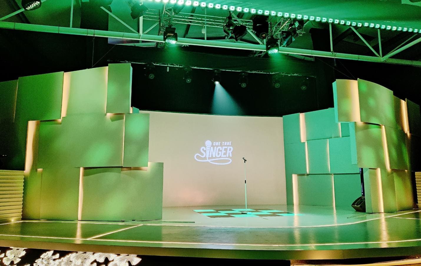 One True Singer: HBO Max a anunțat primul talent show produs în România