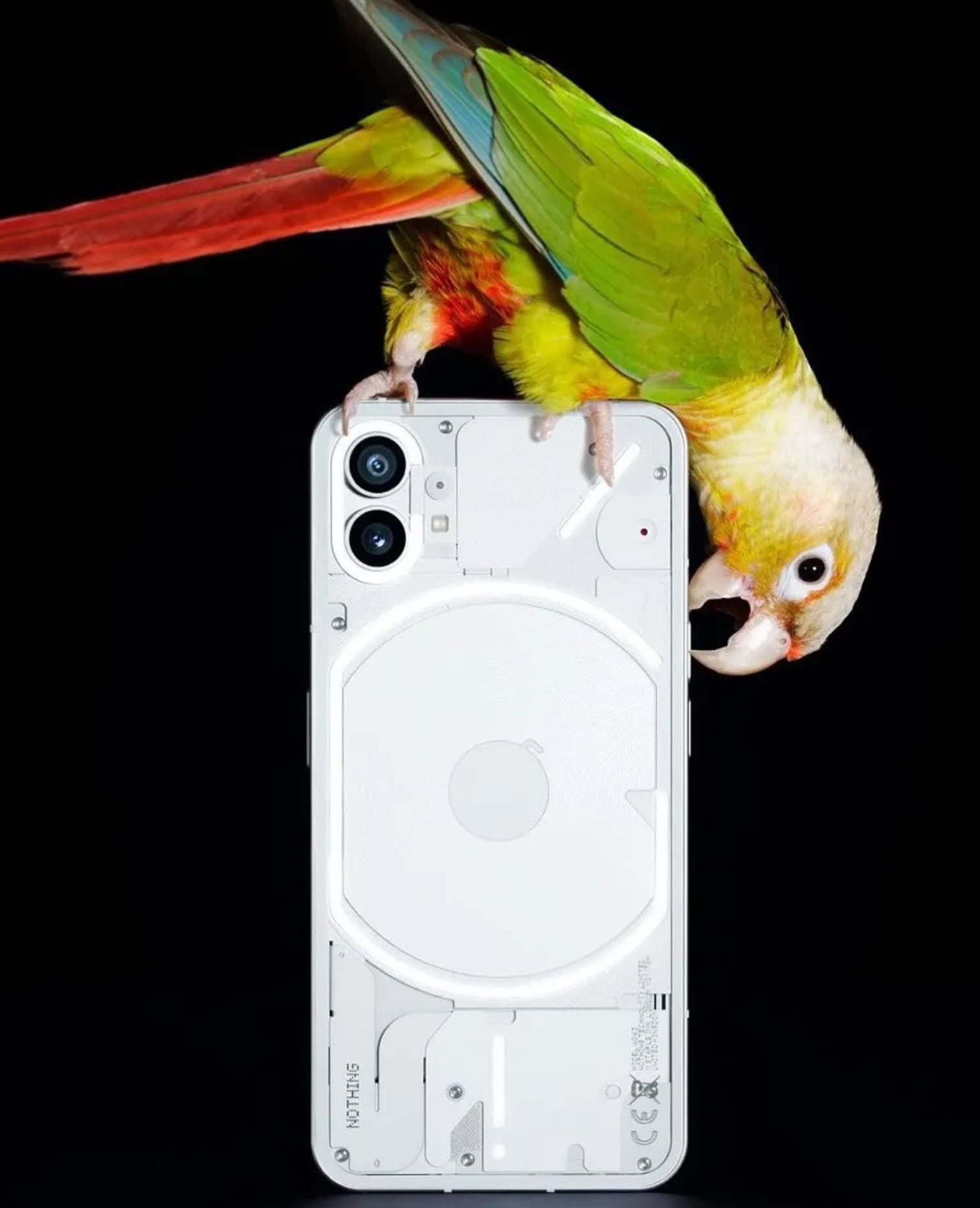 Nohing Phone (1) are designul confirmat oficial; Spate nu chiar ...