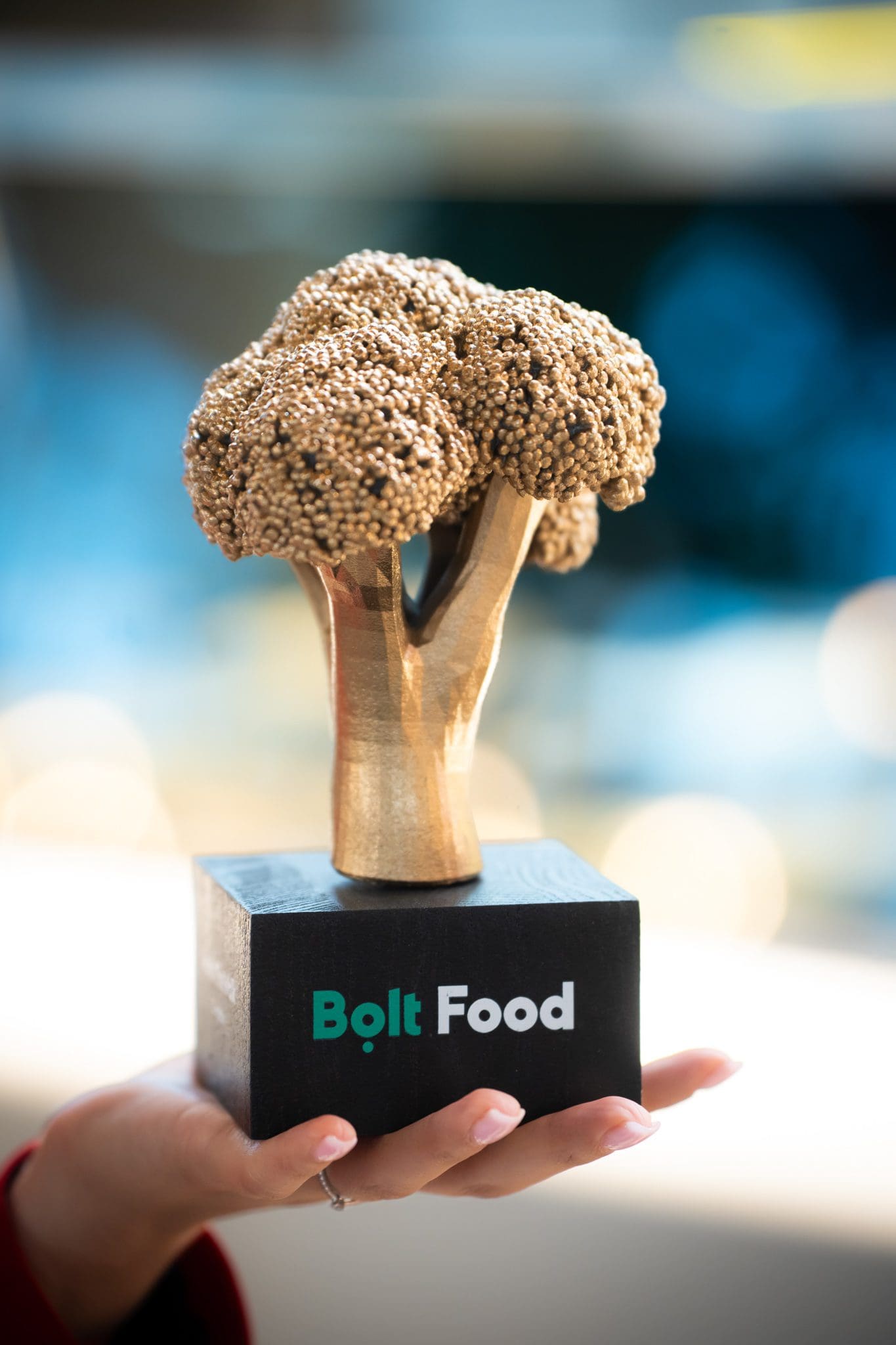 Care sunt cele mai populare restaurante de pe Bolt Food: Gurmanzii au decis